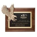 Soaring Eagle 8217.19 | Plaque Awards